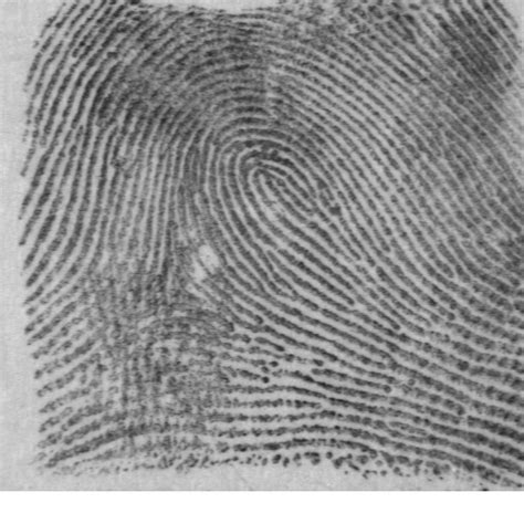 Fingerprint Classification And Matching Using Deep Learning Data