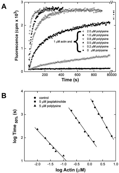 Nucleation Of Actin Polymerization By Polylysine A Time Course Of 4