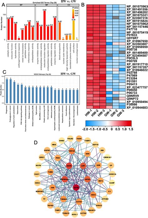 Frontiers Comparative Analysis Of Proteomics And Transcriptomics