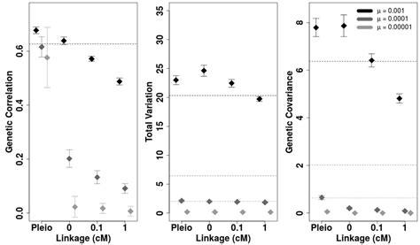 Effect Of Mutation Rate µ On Average Genetic Correlation Total