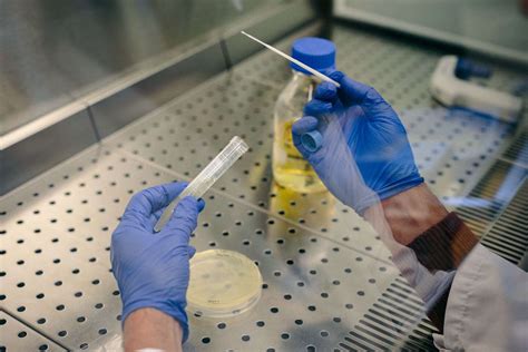 In The Face Of Multi Resistant Infections The Return Of Phages These Virulent Bacteria