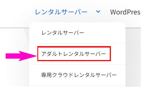 アダルトブログのサーバーレンタルとWordPressインストール方法ヤマトblogヤマブロ