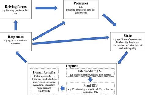 Integrating Ess In The Dpsir Framework Download Scientific Diagram