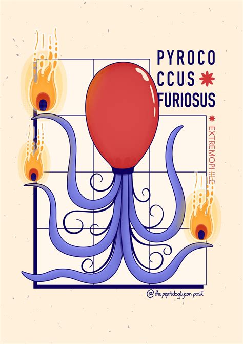 Pyrococcus Furiosus