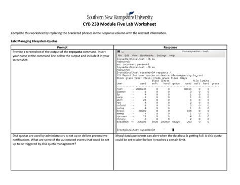 CYB Module Five Lab Worksheet CYB Module Five Lab Worksheet Complete This Worksheet By