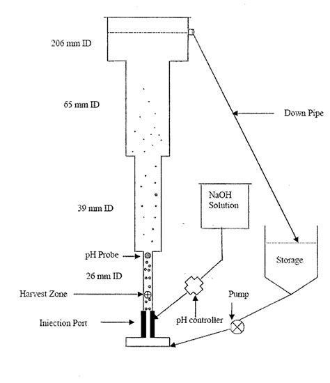 Figure 12 Investigation Into Struvite Solubility Growth