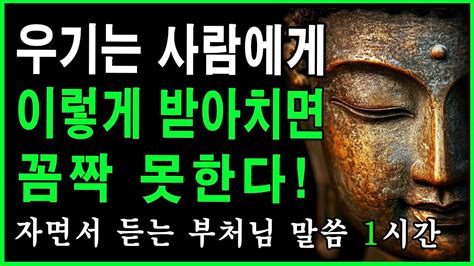자신이 항상 옳다고 믿는 사람이 당신을 망치게 두지 마세요 즉시 막을 방법이 여기에 있습니다 더 이상 받아들이지 마세요 잠들기 전 1시간 동안 듣는 부처님의