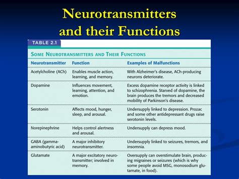 Neurotransmitters And Their Functions Chart