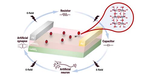 Computer Hardware Mimics Brain Functions Argonne National Laboratory