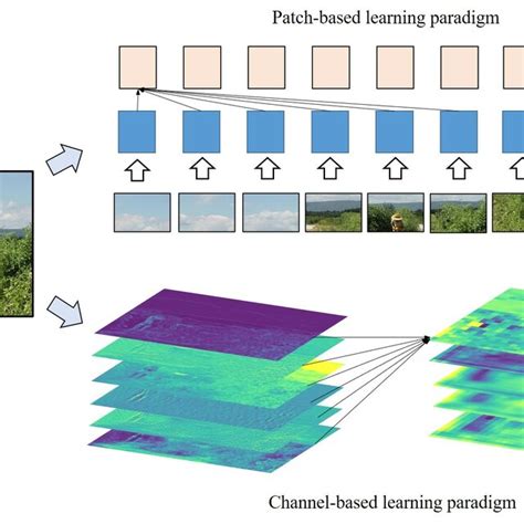 Comparison Of Feature Learning Methodology Between Cnns And Vit Download Scientific Diagram