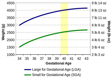 Gestational Age And Birth Weight Chart Merrion Ultrasound