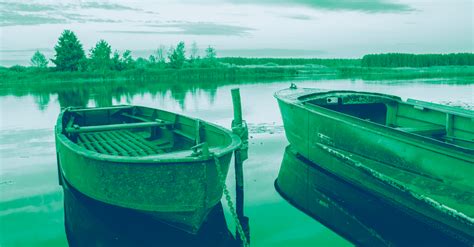 10 Linux Distributions For Cyber Security Professionals Cybrary