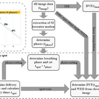 Schematic Representation Of The Workflow For Phase Sorting And