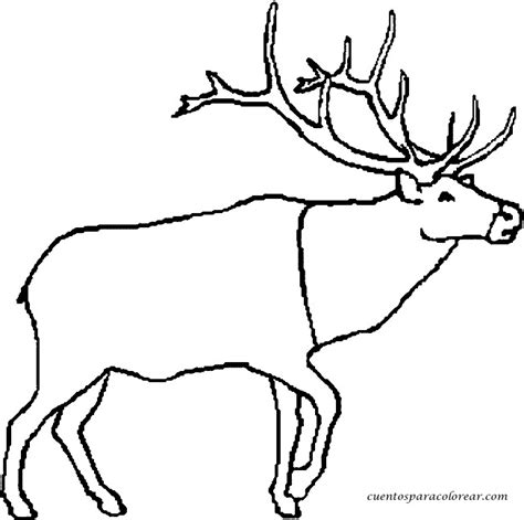 Coloriage Caribou Simple Dessin Gratuit à Imprimer
