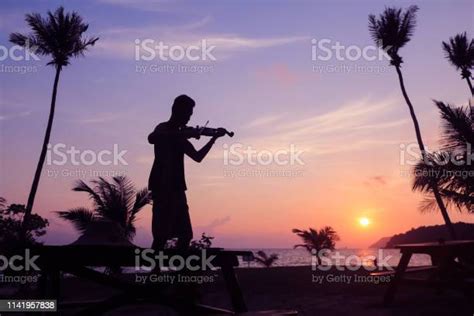 현지 음악가 일출에서 코코넛 비치에서 바이올린을 연주하는 아시아 남자 스페인에 대한 스톡 사진 및 기타 이미지 스페인 클래식 음악 교육 Istock