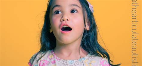 Why Autistic People Interrupt Archives Jaime A Heidel The Articulate Autistic