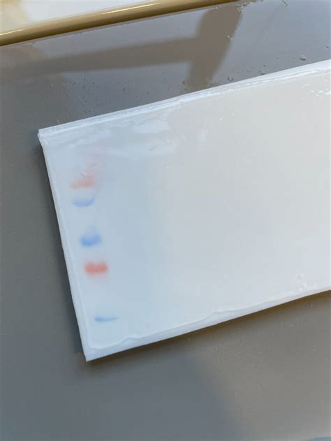 4199 Questions With Answers In Western Blot Scientific Method