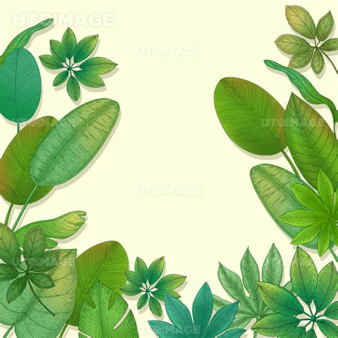 열대 지방의 식물 시리즈 일러스트 이미지 유토이미지 상세페이지 베이직샵 일러스트 21795393