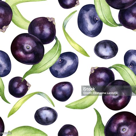아사이 열매와 야자수는 흰색으로 분리된 수채화 이음매 없는 패턴을 남깁니다 이국적인 아마존 작은 보라색 열매 열대 과일 손으로