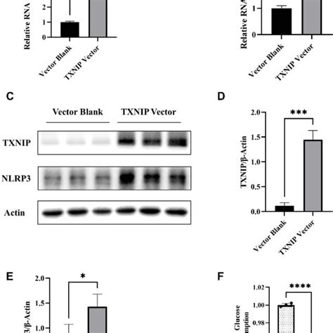 Effects Of Txnip On Regulation Of Nlrp3 Expression And Cellular Glucose Download Scientific