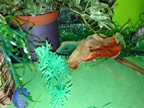 First Grade Rocks Home