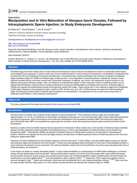 Pdf Manipulation And In Vitro Maturation Of Xenopus Laevis Oocytes