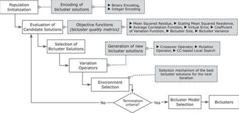 Metaheuristic Biclustering Algorithms From State Of The Art To Future Opportunities Acm
