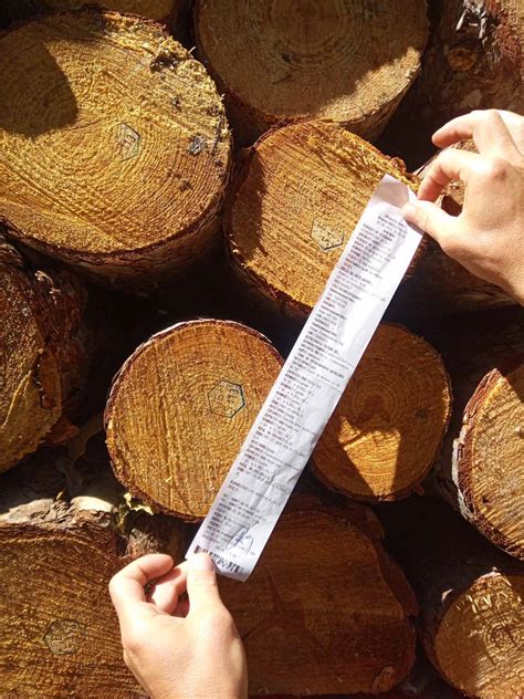 200 кубика дърва за огрев задържаха горските служители през изминалата седмица Вестник