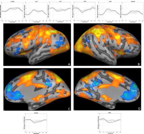 Multi Subject Whole Brain Random Effects Glm Maps Thresholded At Download Scientific Diagram