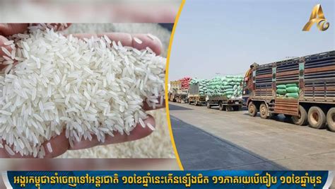 អង្ករកម្ពុជានាំចេញទៅអន្តរជាតិ ១០ខែឆ្នាំនេះកើនឡើងជិត ១១ភាគរយបើធៀប ១០ខែឆ្នាំមុន