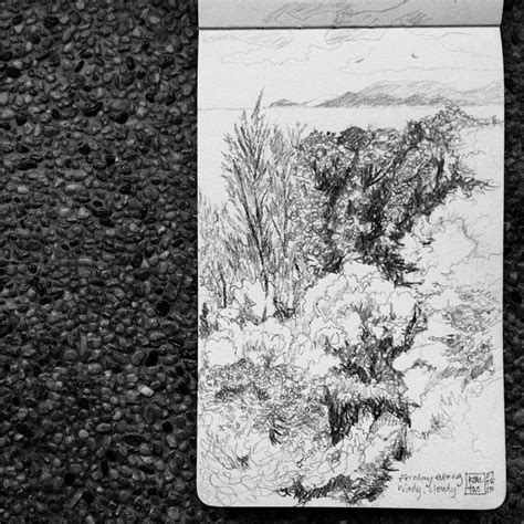 Trees In Groups Trees Forest Sea Pencil Sketch Art Artwork Tree