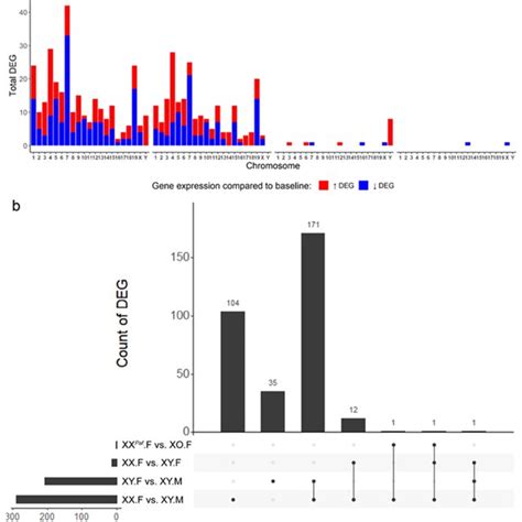Sex Phenotype Sex Chromosome Complement And Genetic Background