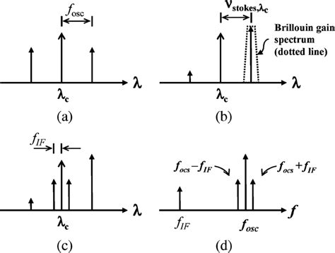 A Modulated Optical Spectrum B Brillouin Selective Amplification