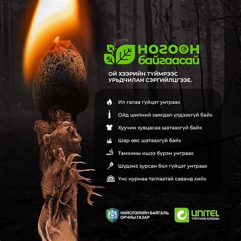 Ой хээрийн түймрээс урьдчилан сэргийлцгээе