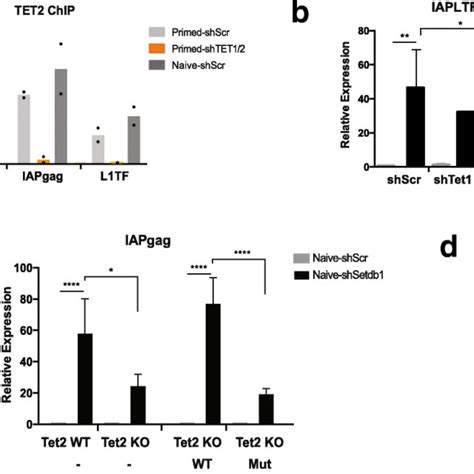 Setdb1 Is Pivotal For Erv Silencing In Naïve Escs A Deep Amplicon Download Scientific Diagram