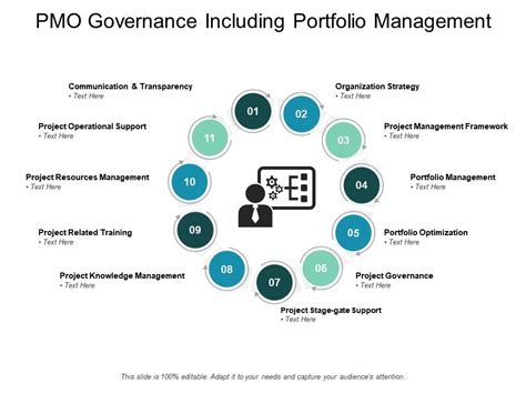 Pmo Governance Structure