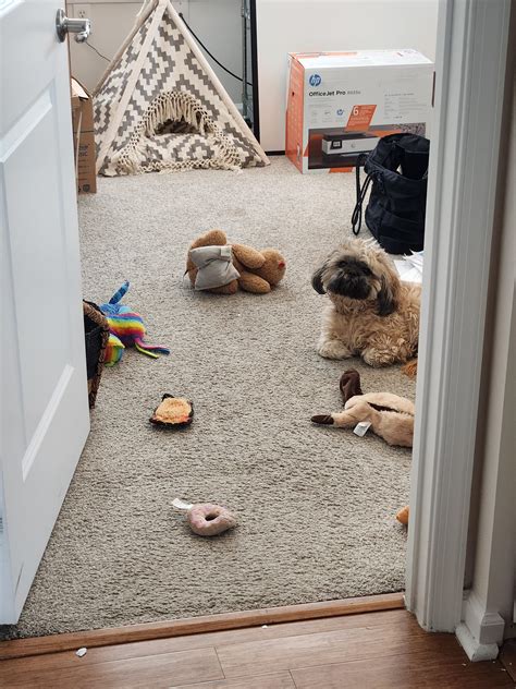 Chico And His Toys Scrolller