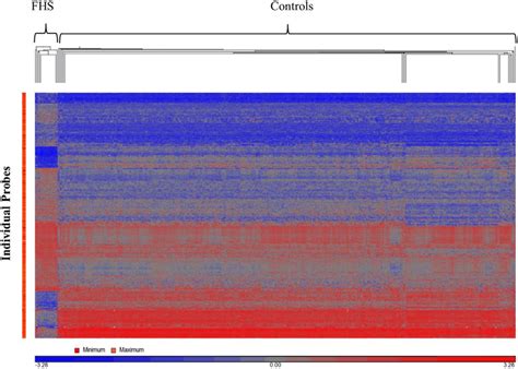 Euclidean Hierarchical Cluster Analysis Hierarchical Clustering Of Download Scientific Diagram