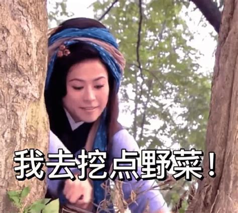 王宝钏商标已被抢注 陈浩民回应王宝钏挖野菜 王宝钏 商标 滚动读报 川北在线