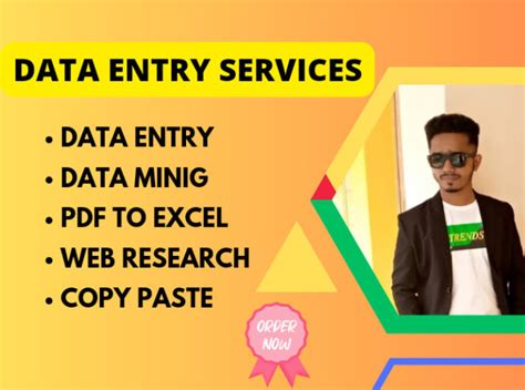 Do Fast Input Data Entry With Manually Typing And Web Research By Mj