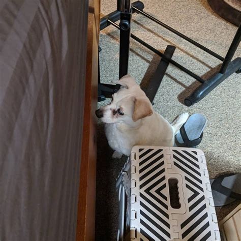 These Are A Few Of My Favorite Things — 13 Yo Bear Bear Just