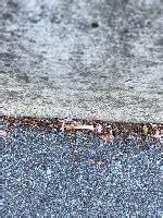 Cigarrette Detection Object Detection Dataset And Pre Trained Model By Cigarette