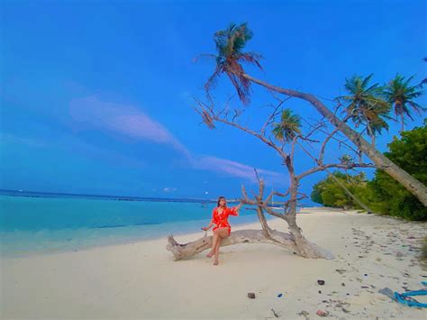 Ankita Mishra Theankitamishra1 • Instagram Photos And Videos