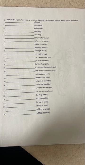 Solved 5 Identify The Types Of Joint Movements Numbered In
