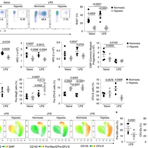 Systemic Hypoxia Alters Bm Hematopoiesis Toward Increased Download