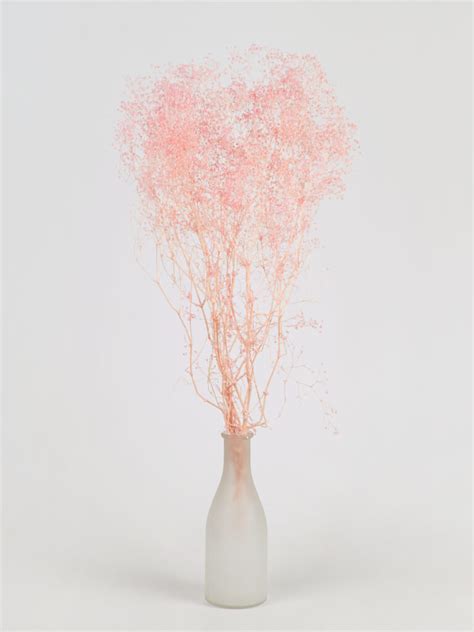 Гіпсофіла дрібна стабілізована рожева купити за ціною 469 грн • Dfb Elements Україна