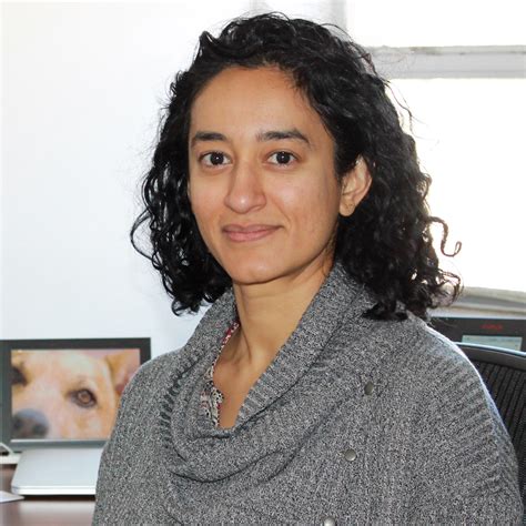 Bhuvana Srinivasan Uw William E Boeing Department Of Aeronautics