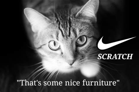 Just Scratch It Rfunny