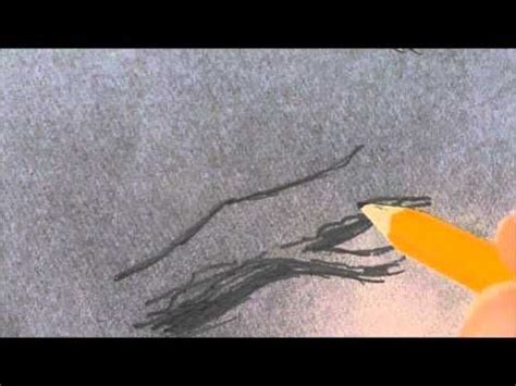 YouTube Tree Drawing Drawings Beautiful Drawings