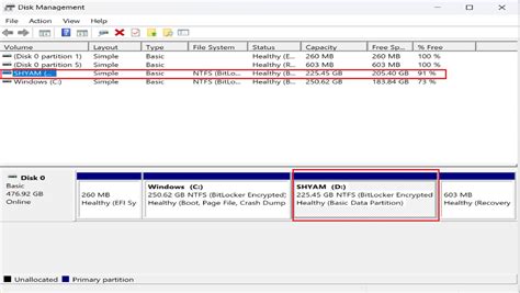 डलट करन क लए चयनत परटशन पर रइट कलक कर और Delete Volume वकलप क चन